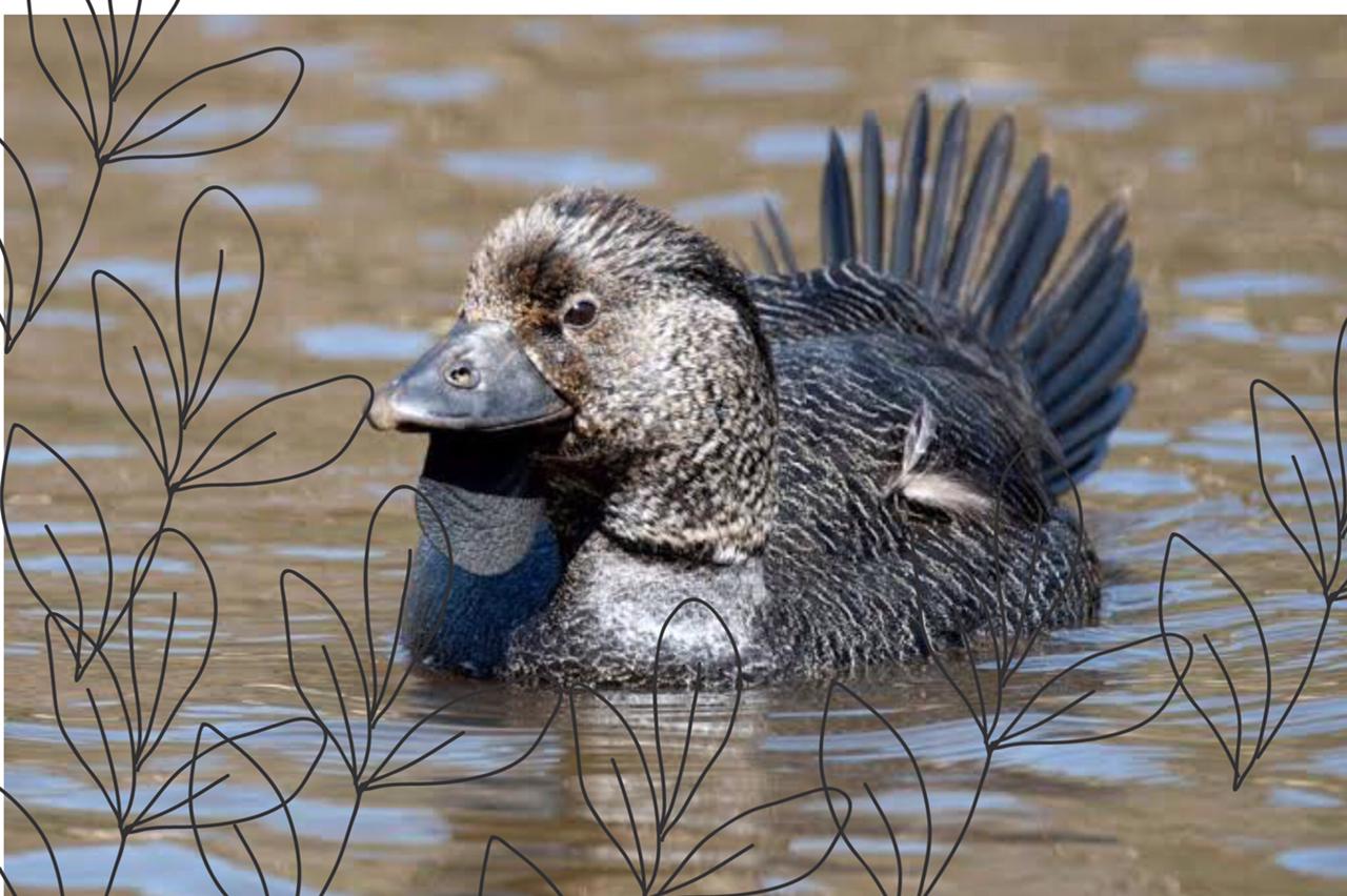 9 Langkah Mudah Desain Frame Foto Unik Ala Kamu Sendiri - Collart