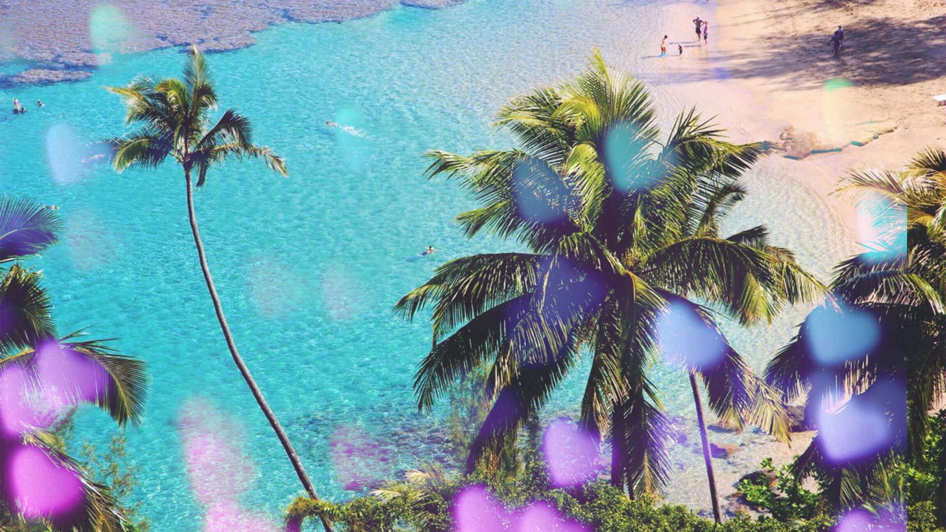 Image Overlays - Collart Photo Editor and Collage Maker